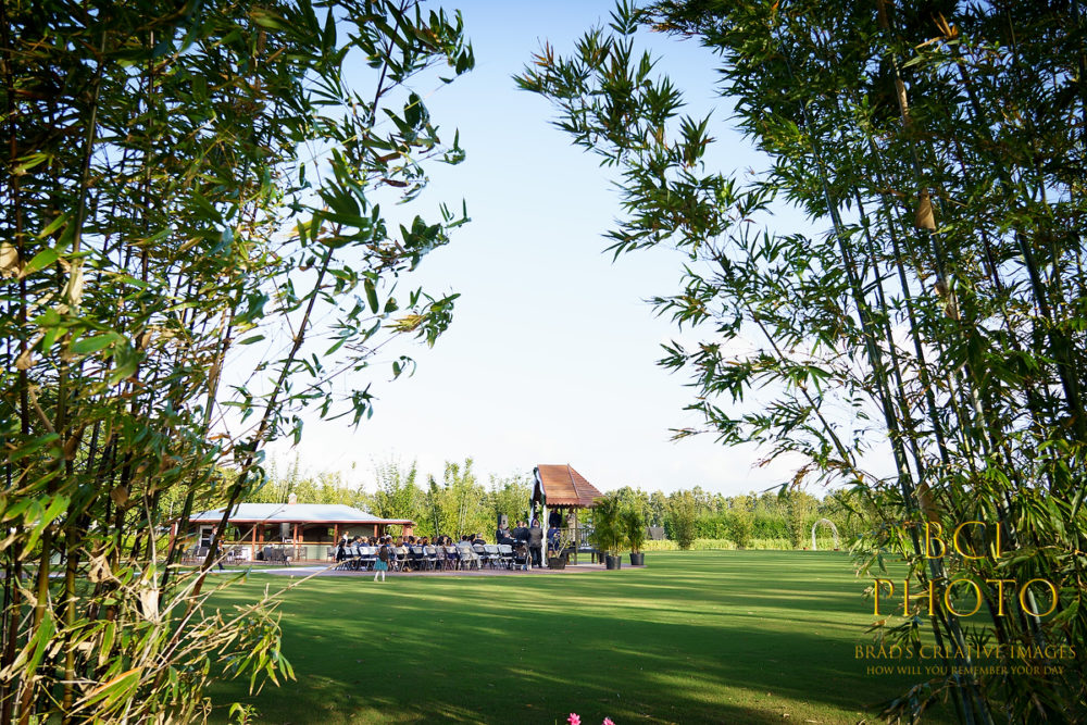 Amazing Pictures taken at Kai Kai Farms in Stuart Florida. – Brads ...